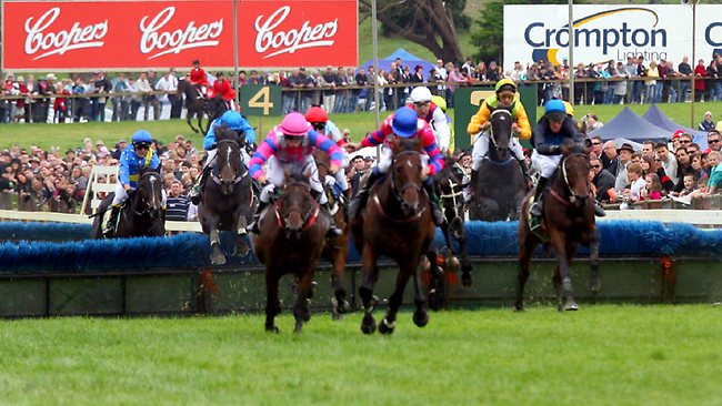 An Open Letter to Leon Bignell MP, Minister for Racing – South ...